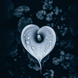 Cute Baggrunde: Sådan får du de sødeste baggrunde til din skærm ...